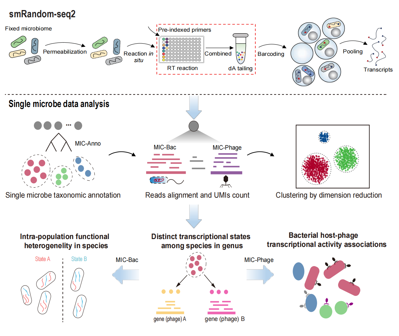 良渚实验室王永成团队Protein & Cell报道微生物组单细胞转录组测序技术 - 科学研究 - 良渚实验室